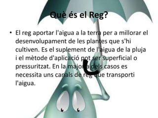 Sistema De Reg | PPTX