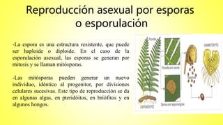 Sistema de reproducción en seres vivos | PPTX