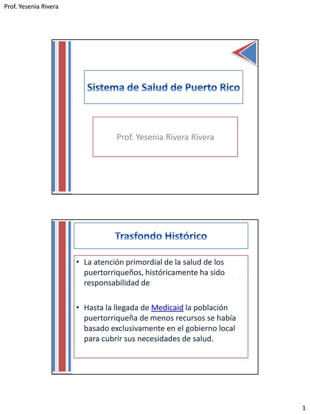 Breve Trasfondo Histórico del Sistema de Salud de Puerto Rico | PDF