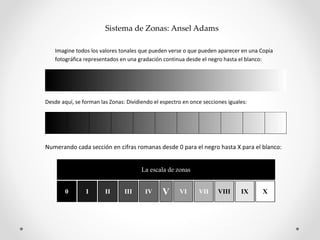 Sistema de zonas ansel adams | PPTX
