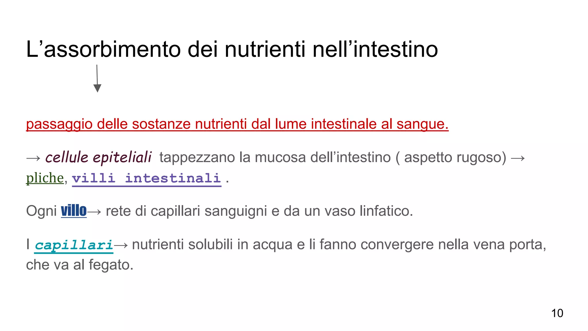 Sistema digerente ambrosi marcelletti | PPTX