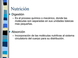 Sistema digestivo | PPT