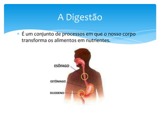 Sistema digestivo | PPTX