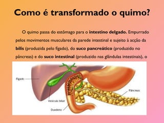 Sistema digestivo | PPT