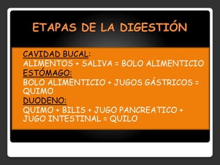 Sistema digestivo | PPTX
