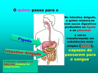 Sistema digestivo | PPTX