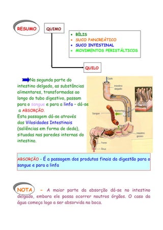 Sistema digestivo | DOC
