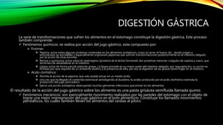 Sistema digestivo | PPTX