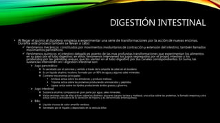 Sistema digestivo | PPTX