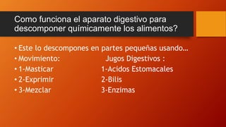 Sistema digestivo | PPTX