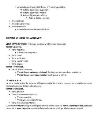 RESUMEN Anatomía del Sistema Digestivo - Rouviere | DOCX