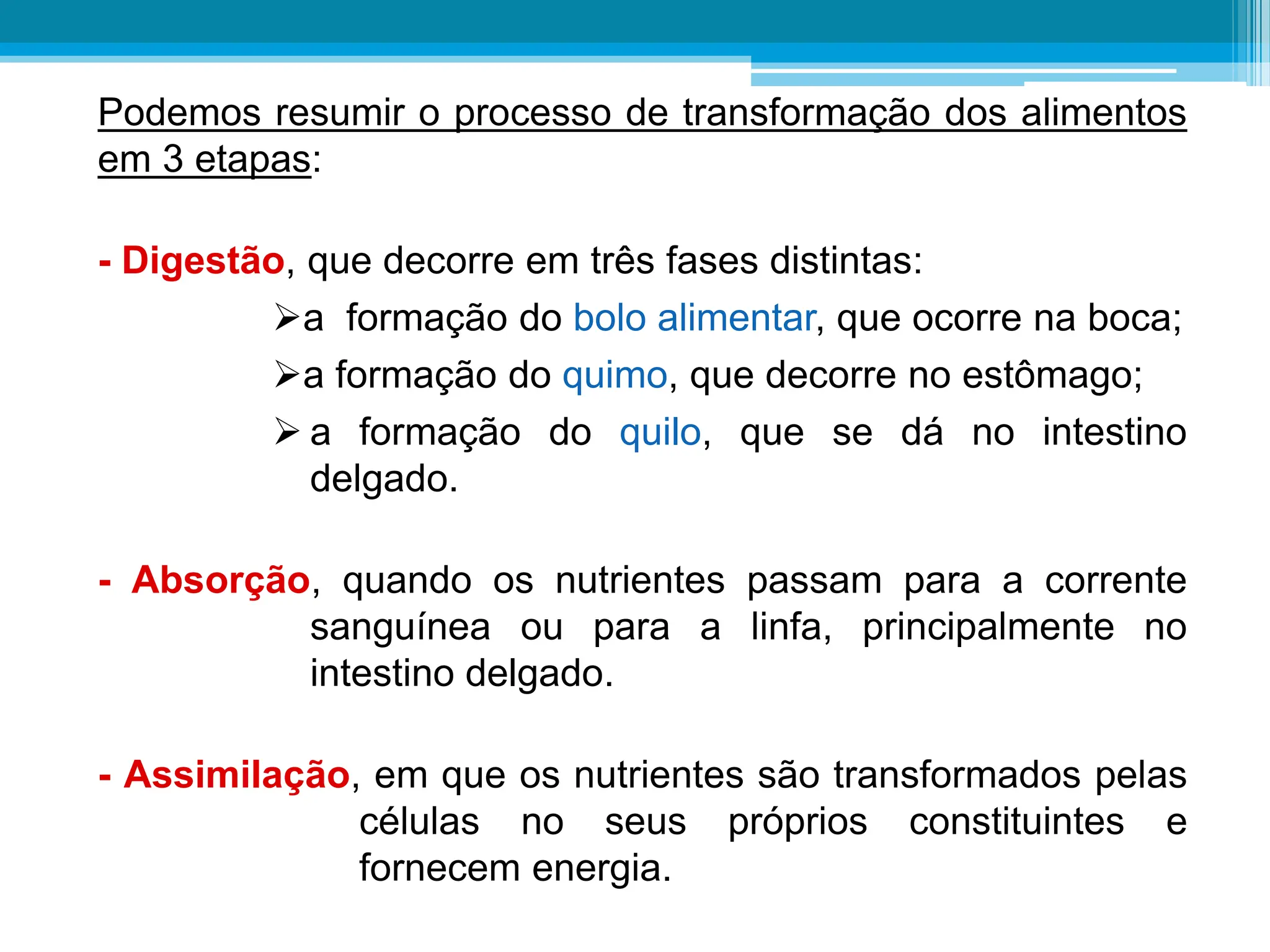 Sistema Digestivo (6º Ano).pptx