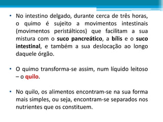 Sistema Digestivo (6º Ano).pptx
