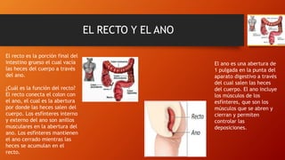 SISTEMA DIGESTIVO ,ESPERO LO DISFRUTEN Y SEA UTIL | PPTX