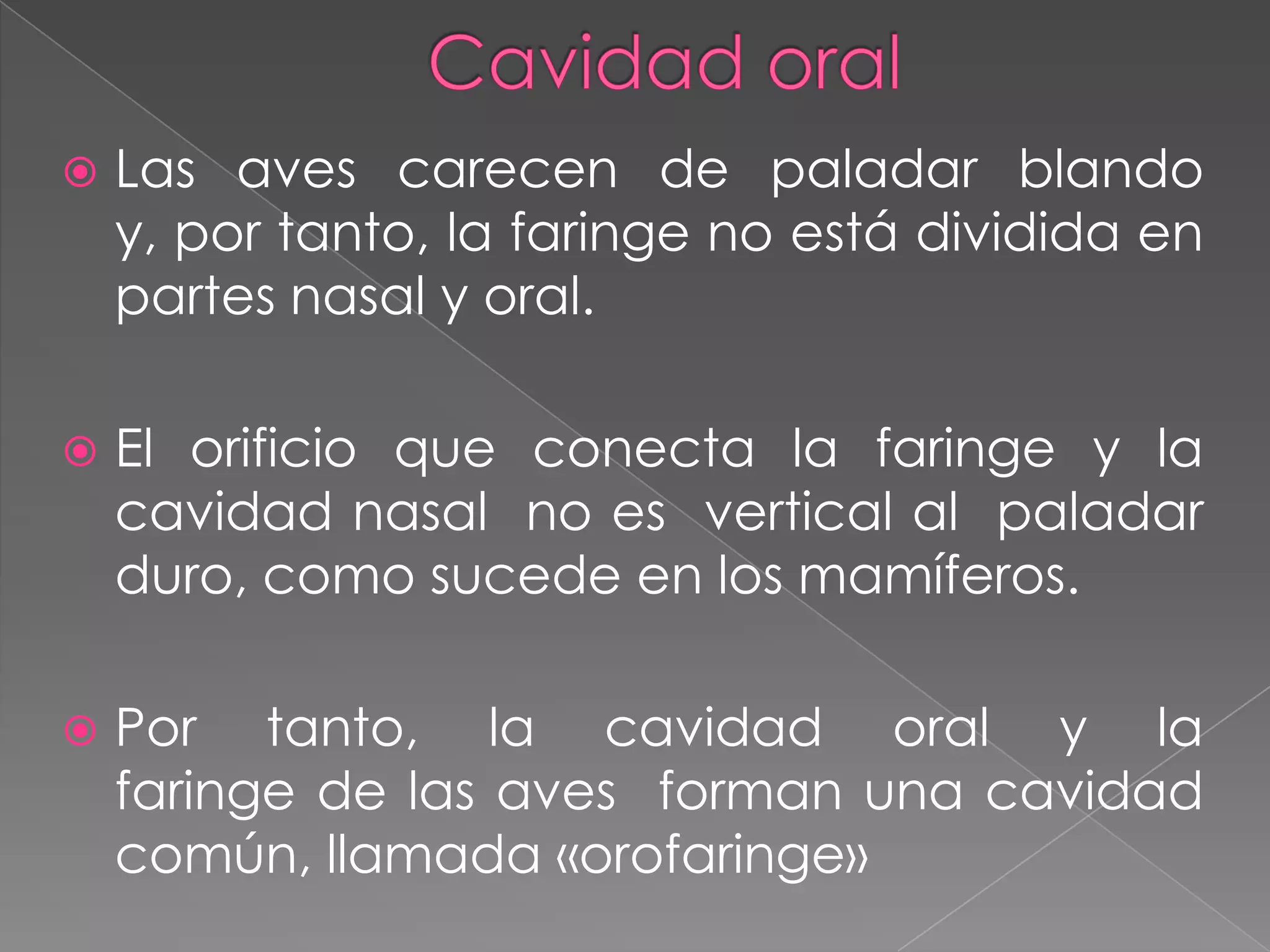 Sistema digestivo de las aves | PPTX