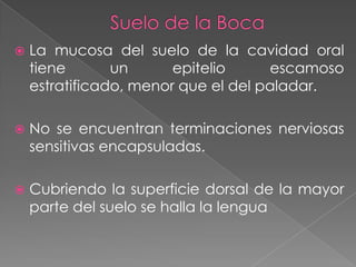 Sistema digestivo de las aves | PPTX
