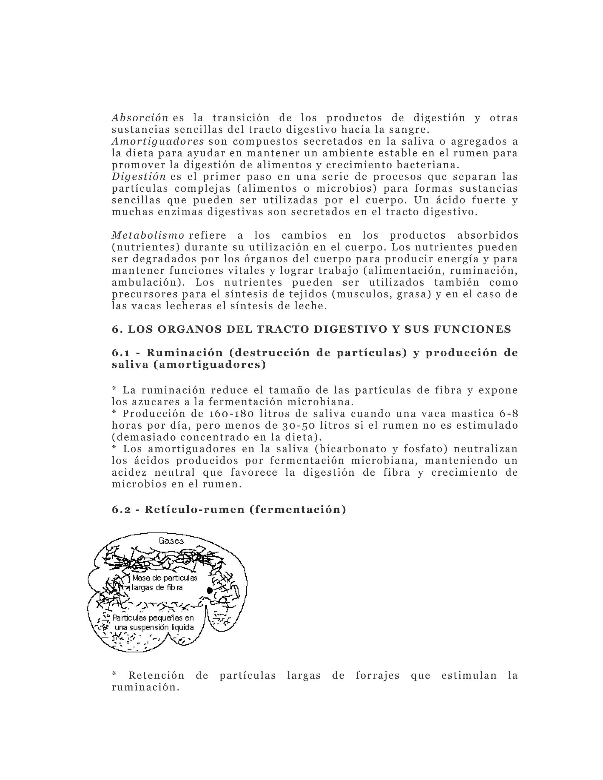 Sistema digestivo de las aves | DOCX