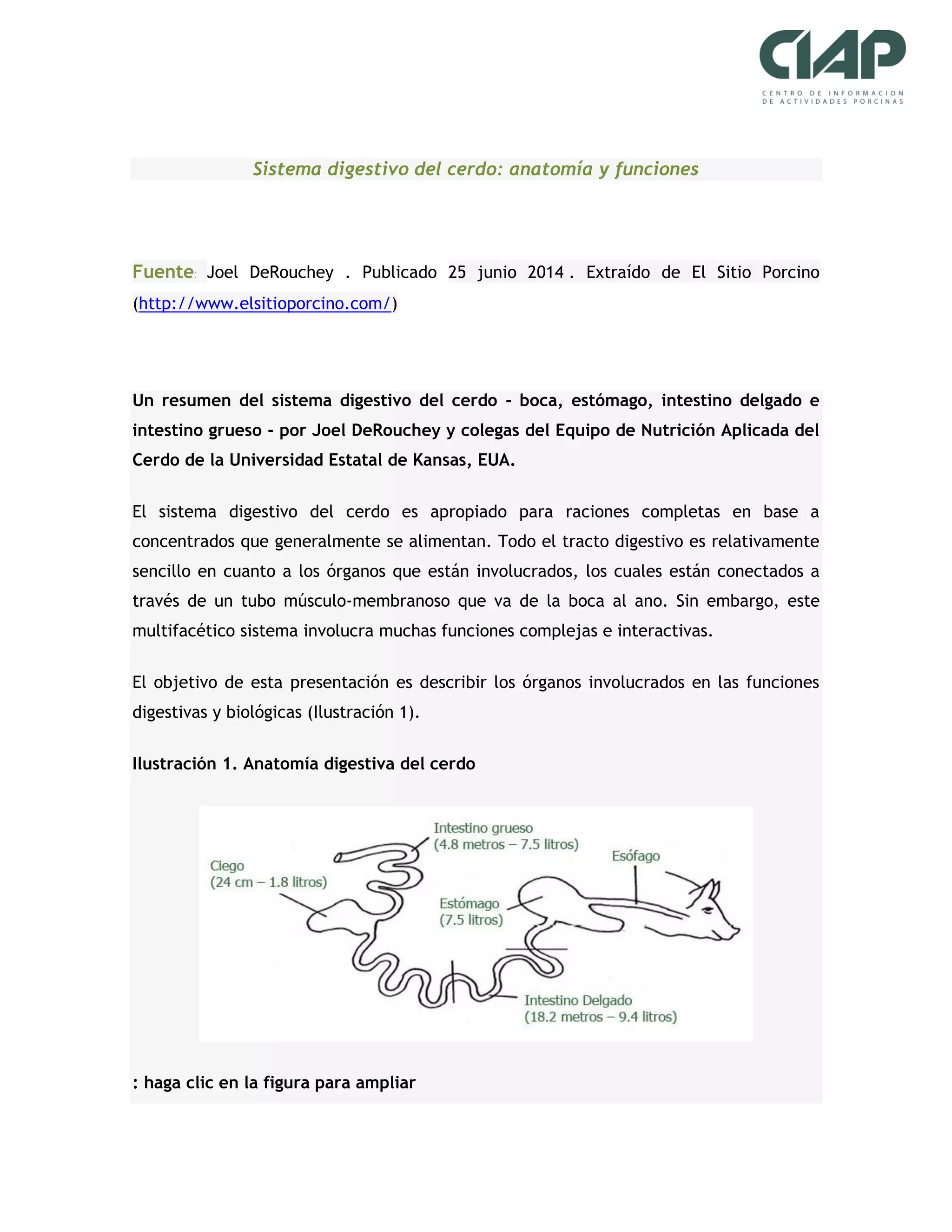 Sistema digestivo del cerdo anatomia y funciones.pdf