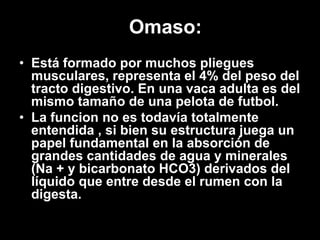 Sistema digestivo de rumiante | PPTX