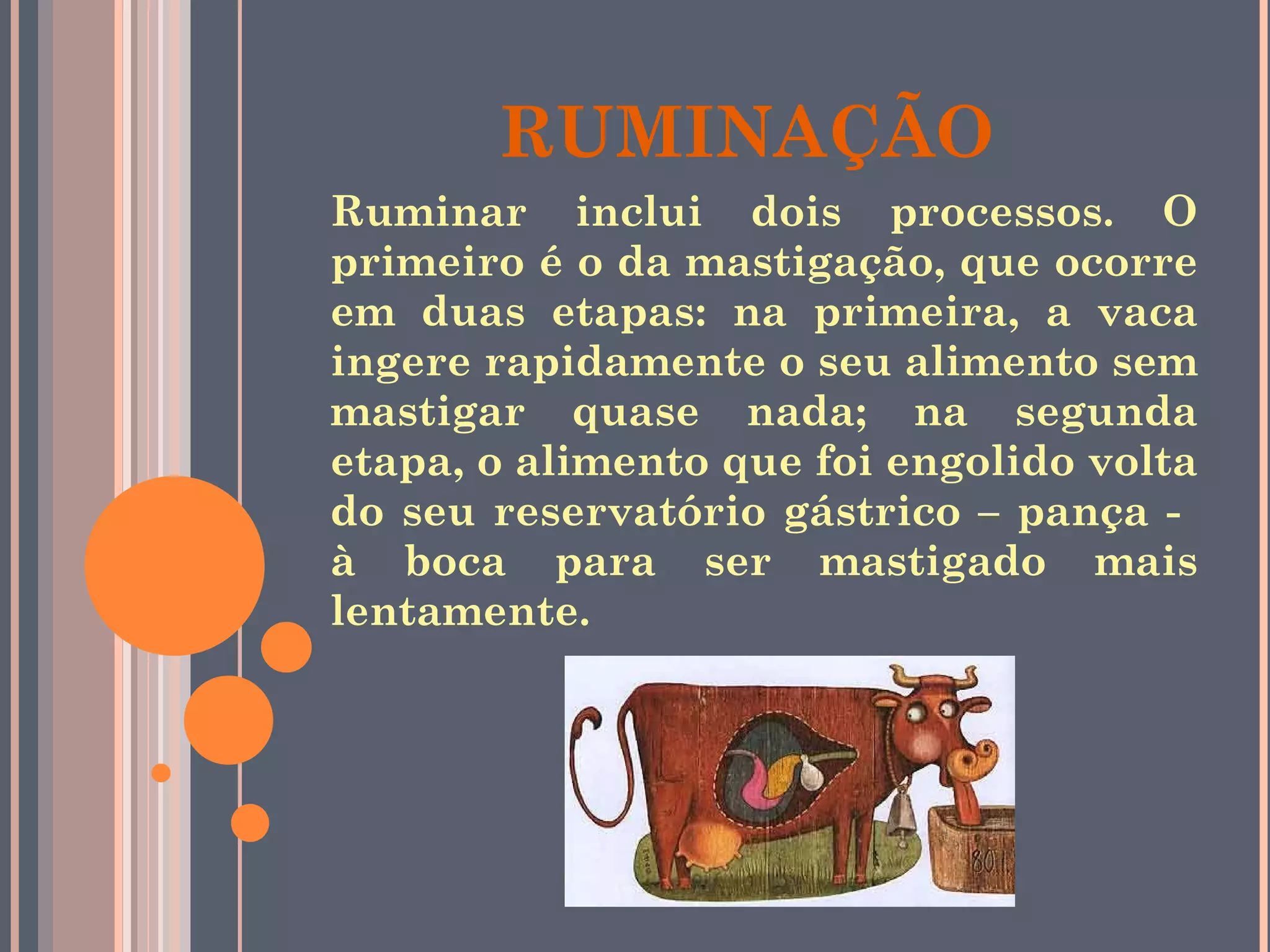 Sistema digestivo dos animais