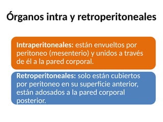 SISTEMA DIGESTIVO EMBRIOLOGIA DRA CASTRO.pptx
