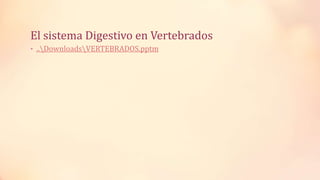 Sistema digestivo en los seres vivos | PPT