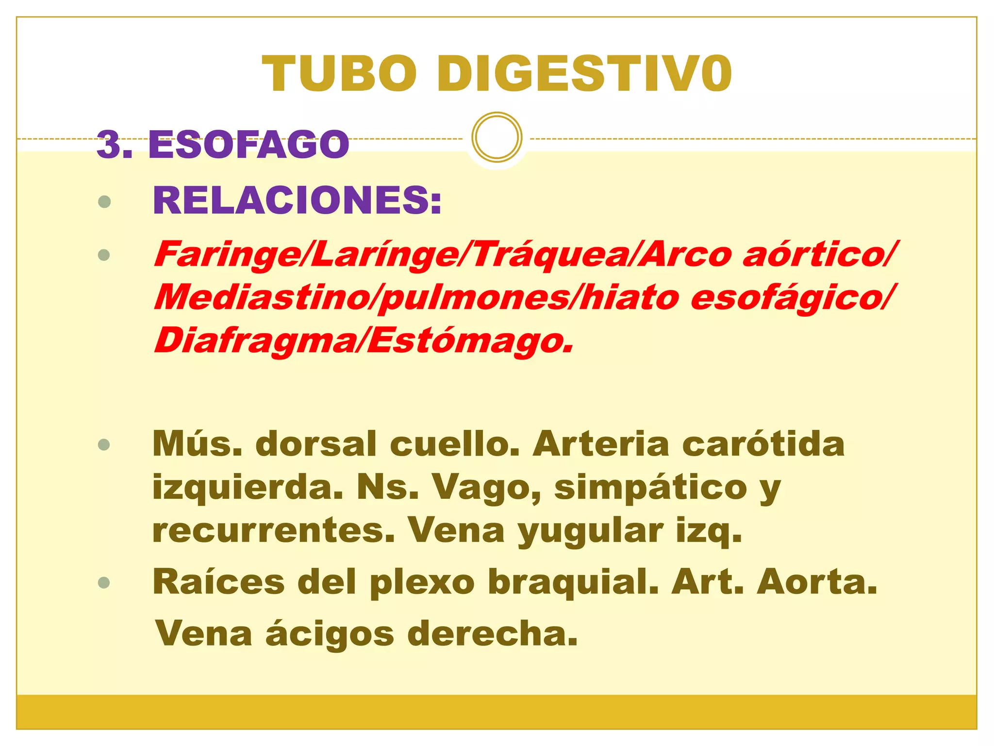 Sistema digestivo equinos | PPTX