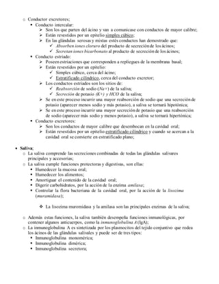 Resumen de Histología del Sistema Digestivo I - Histologia de Ross 7ma ...