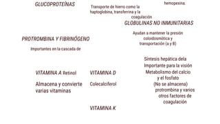 Sistema digestivo III histologia medicina | PDF