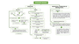 SISTEMA DIGESTIVO MAPA CONCEPTUAL (1).pptx