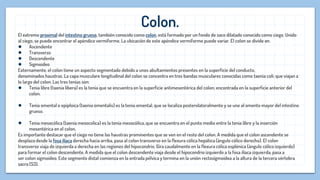 Anatomia y fisiologia del Sistema digestivoo 2.0.pptx