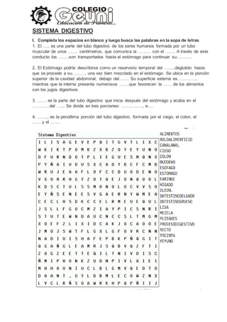Sistema digestivo | DOCX