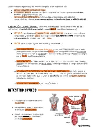 Sistema Digestivo resumen pdf.pdf
