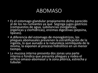 Sistema digestivo de los rumiantes, anatomía, fisiologia e histología ...