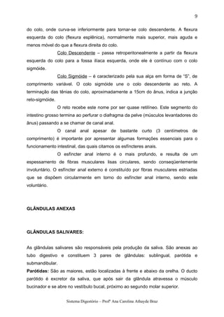 Sistema digestorio | PDF