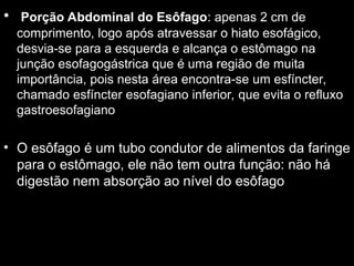 sistema digestorio auxiliar e tecnico de enfermagem | PPT