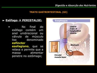sistema digestorio auxiliar e tecnico de enfermagem | PPT