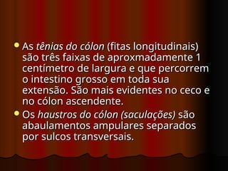 Sistema do corpo humano Sistema Digestorio | PPT
