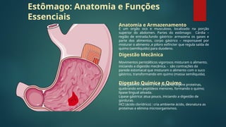 Sistema Digestrio Anatomia e Patologia.pptx