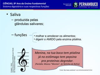 Sistema digestório e suas respectivas funções | PPT