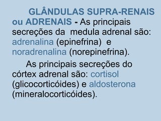 Sistema endócrino | PPT
