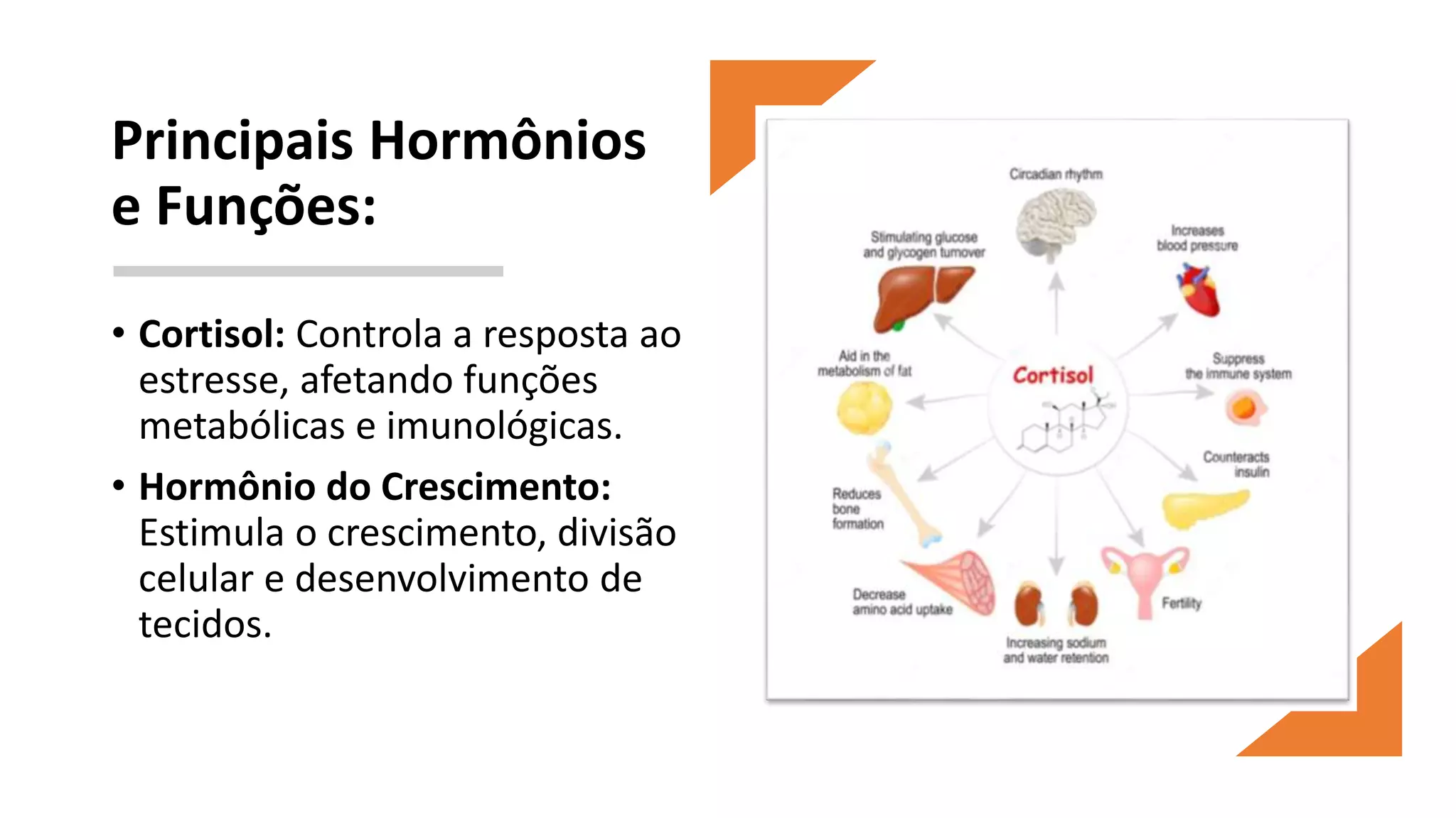 SISTEMA ENDÓCRINO.pptx