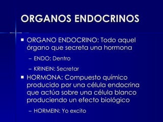 Sistema Endocrino | PPT