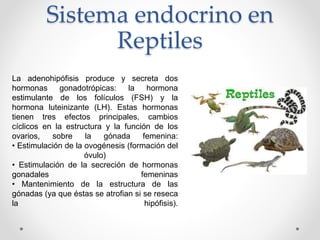 Sistema Endocrino | PPTX