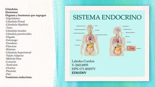 SISTEMA ENDOCRINO - UNY. | PPTX