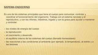 Sistema endocrino | PPTX