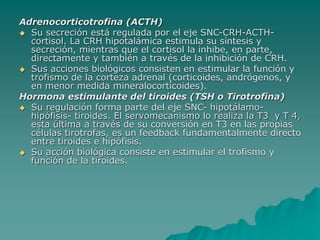 Sistema Endocrino.ppt
