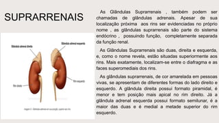 Sistema Endócrino.pptxkkkkkkkkkkkkkkkkk | PPTX