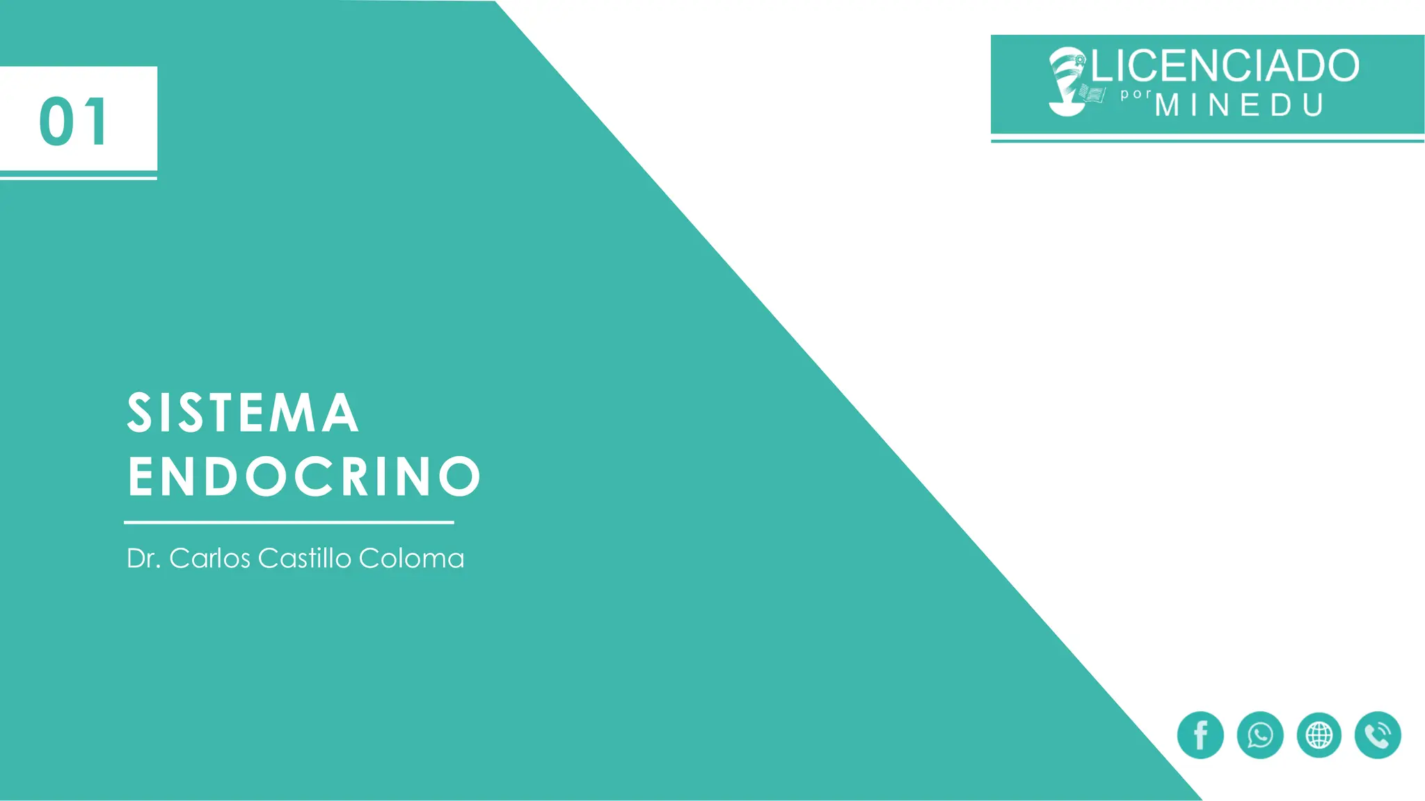 SISTEMA_ENDOCRINO, TODO SOBRE EL SISTEMA ENDOCRINO.PPTE