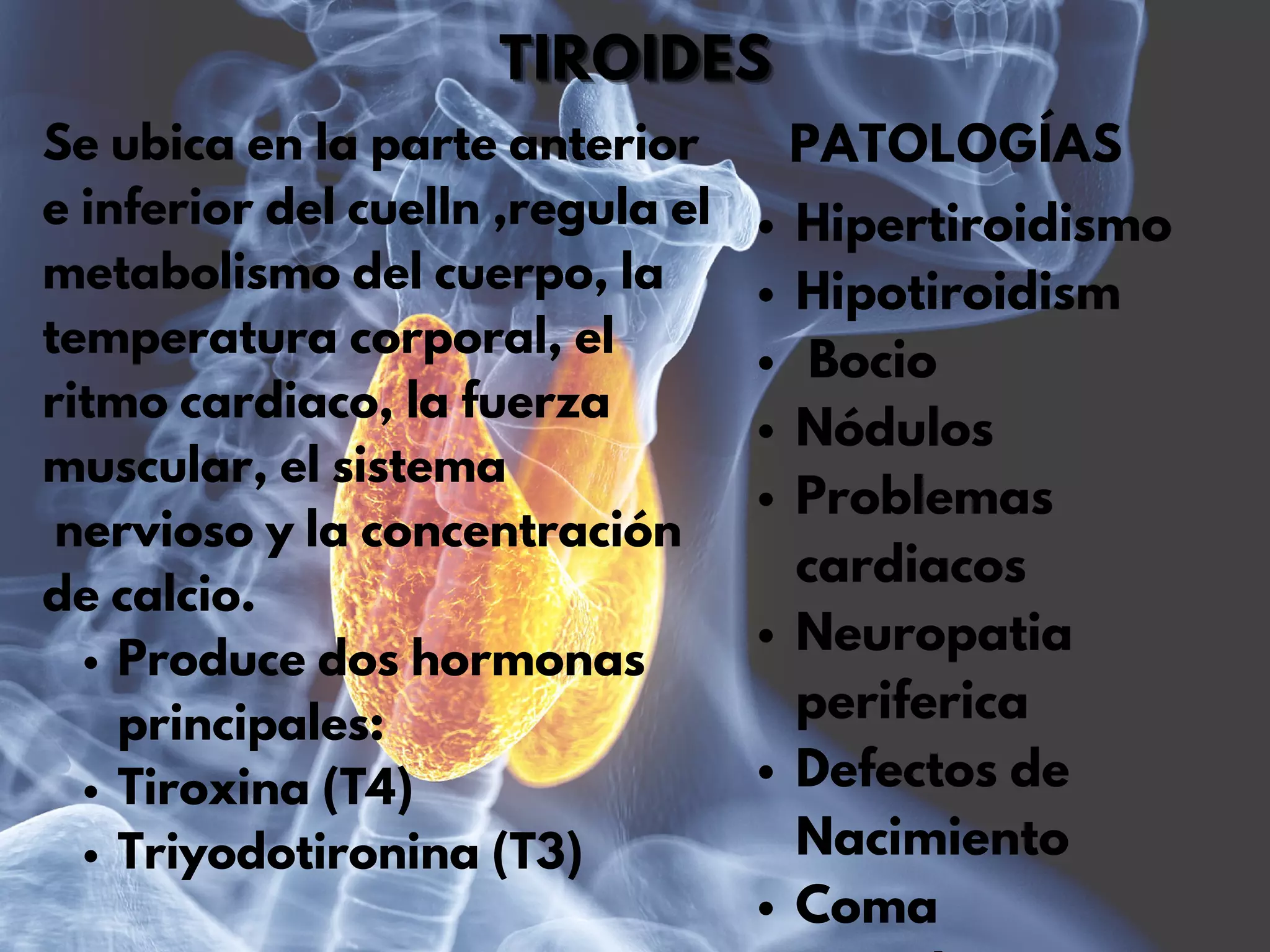 SISTEMA ENDOCRINO(1).pdf
